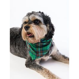 Green Nicholas Plaid Pet Bandana